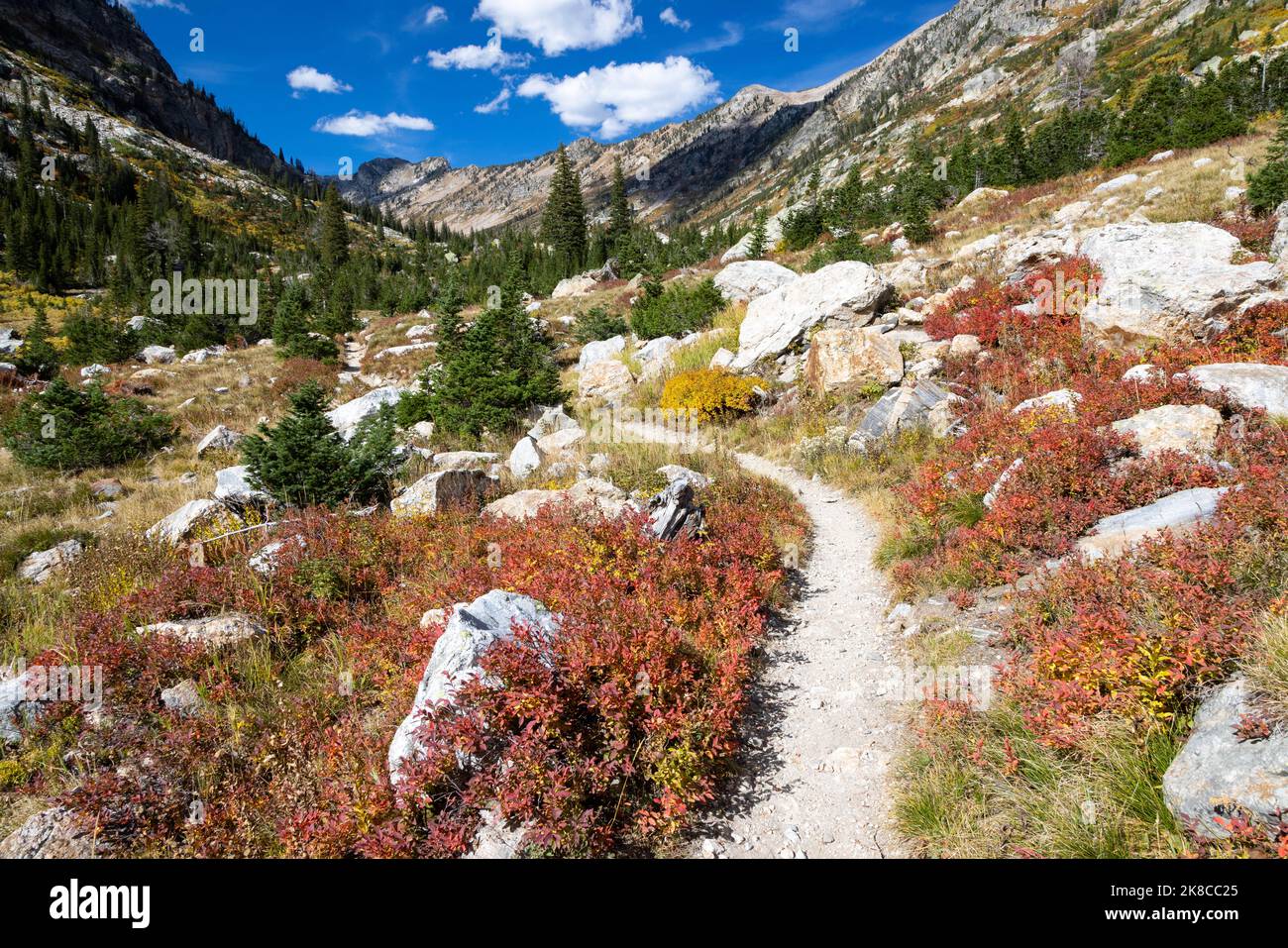 The Lake Solitude Trail winding through fall colors in the North Fork ...