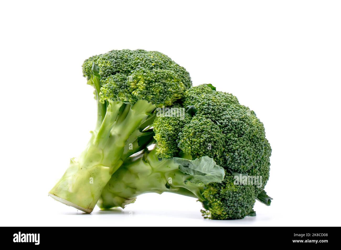 Fresh broccoli isolated on white background. Clipping path included ...