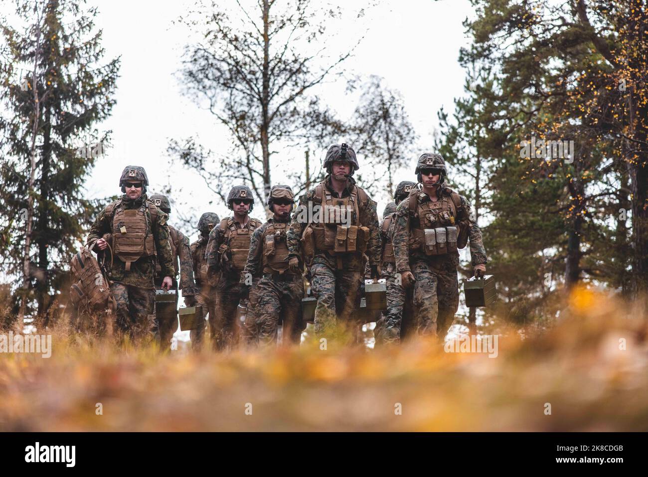 U.S. Marines with Combat Logistics Battalion 6, Combat Logistics ...