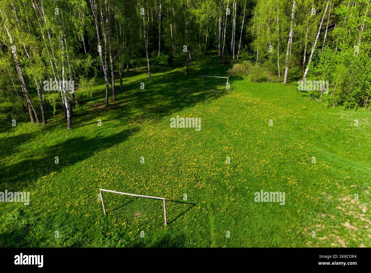View of an amateur football field with goals in a forest clearing Stock ...