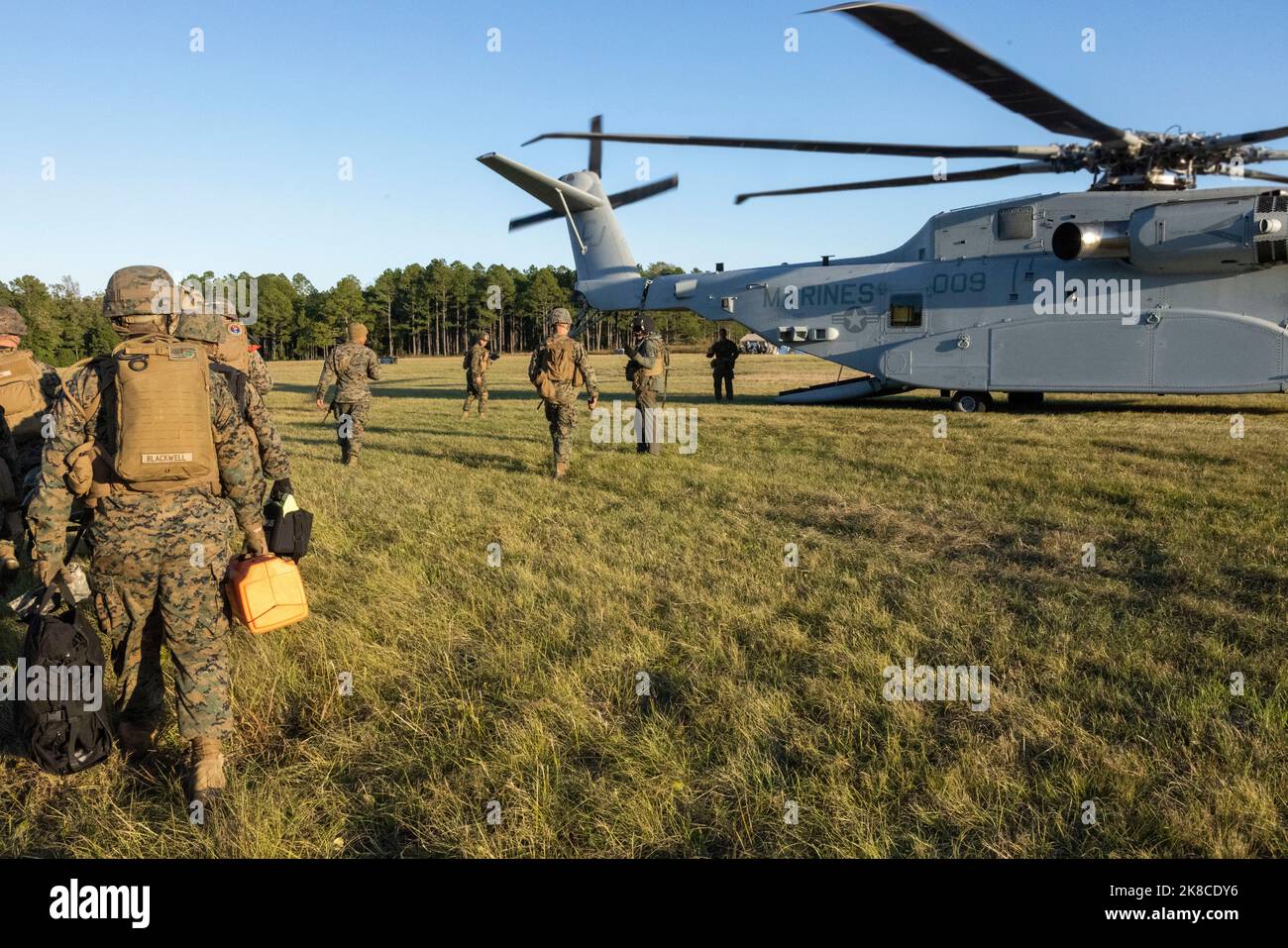 U.S. Navy Sailors with Combat Logistics Battalion (CLB) 24, Combat ...