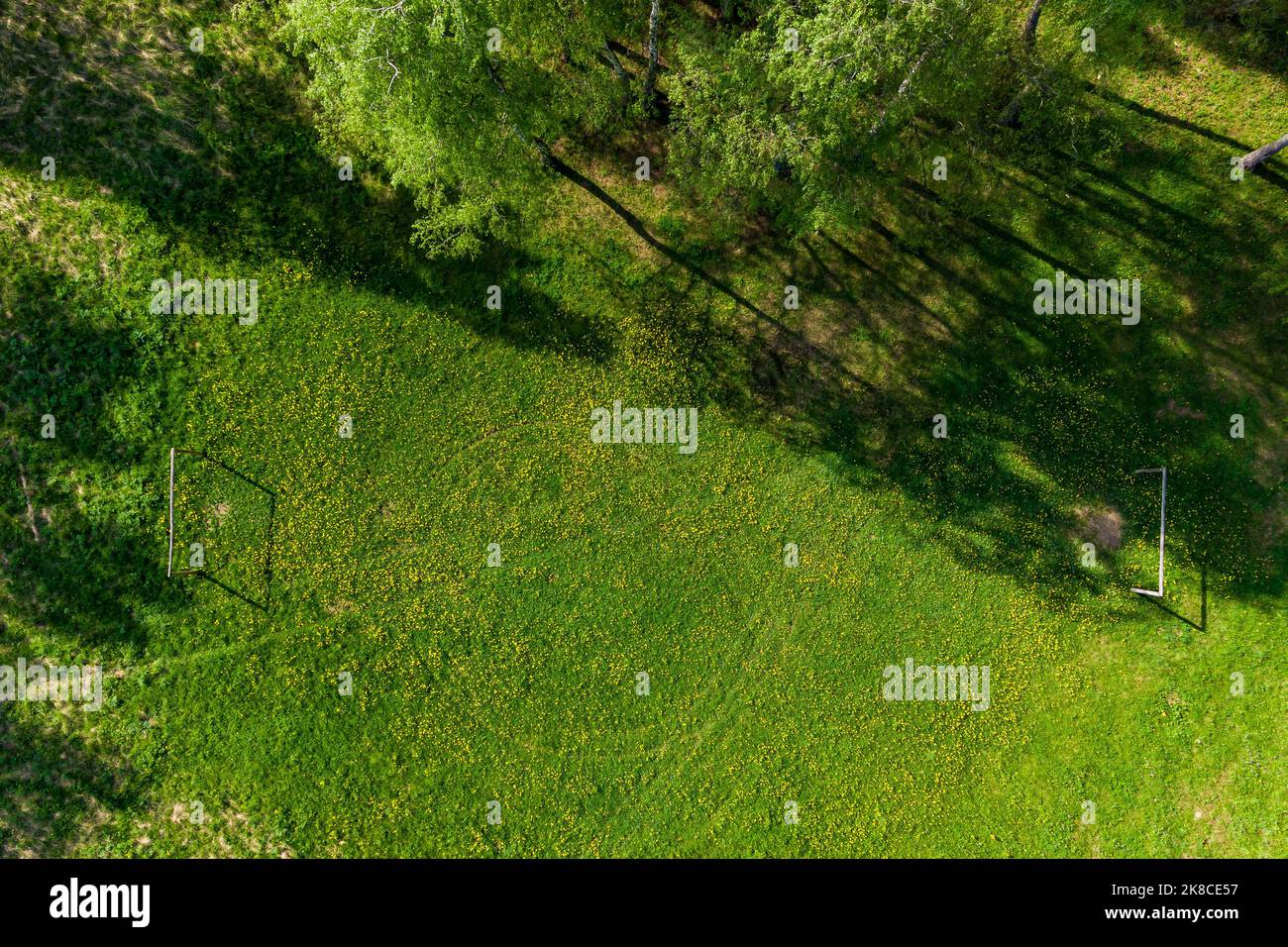Top view of a football field with goals in a forest clearing overgrown ...