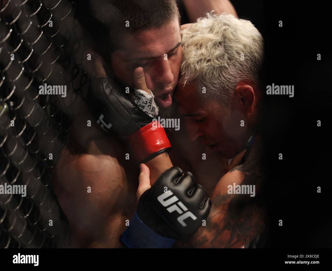 Islam makhachev ufc hi-res stock photography and images - Alamy