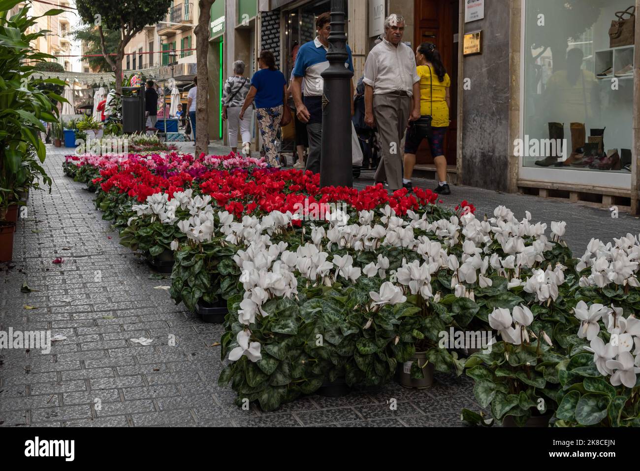 Inca, Spain; october 22 2022: Fair of the land in the Majorcan town of ...