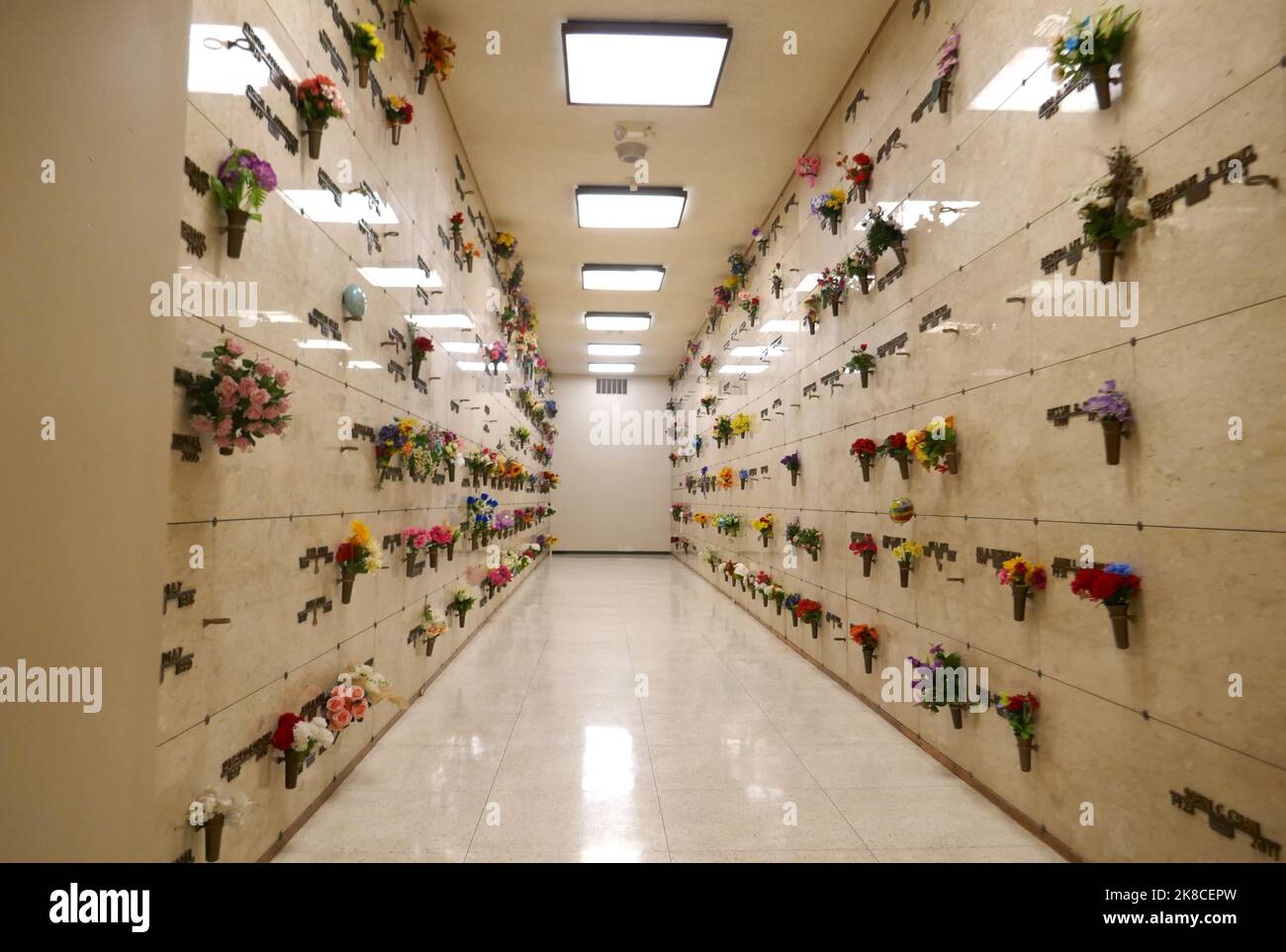 Inglewood, California, USA 19th October 2022 Major League Baseball ...