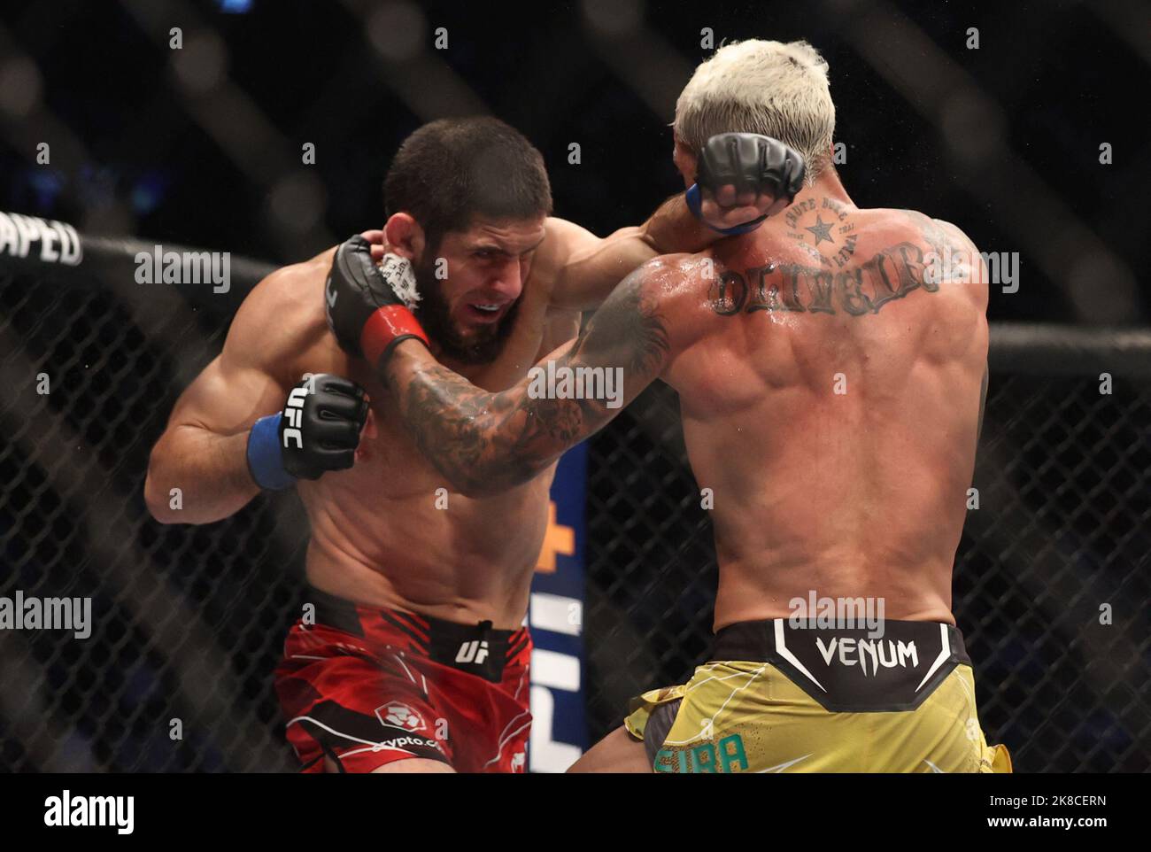 Islam makhachev ufc hi-res stock photography and images - Alamy