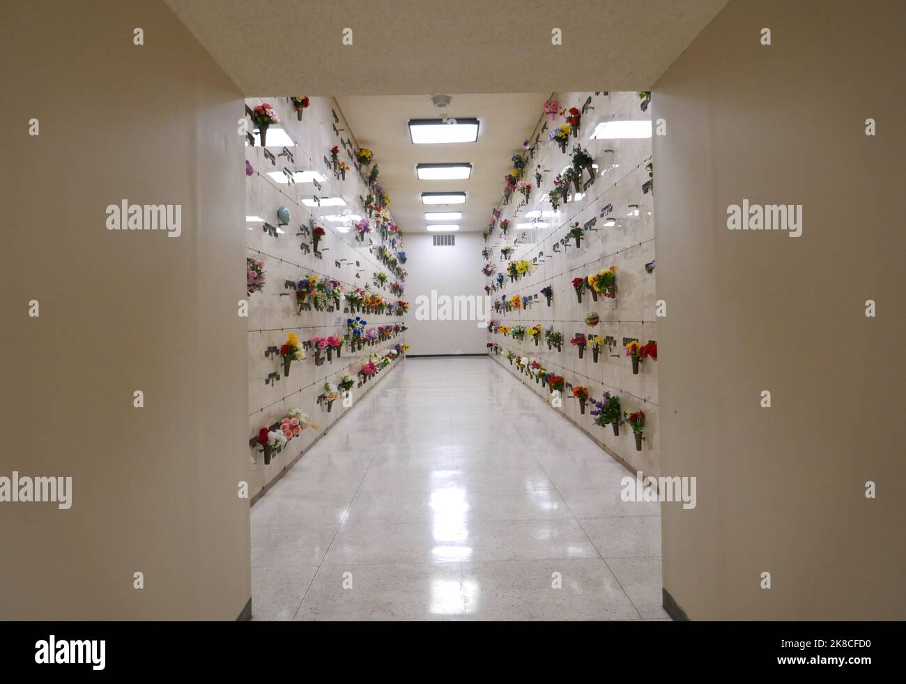 Inglewood, California, USA 19th October 2022 Major League Baseball ...