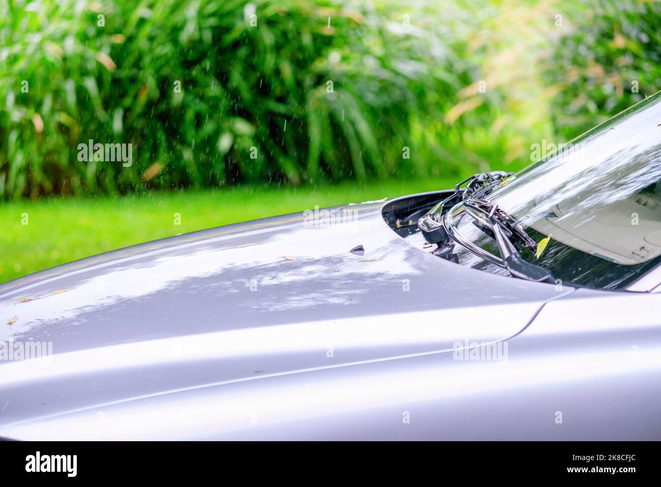 Summer rain dropping over front side of car - hood and windshield ...