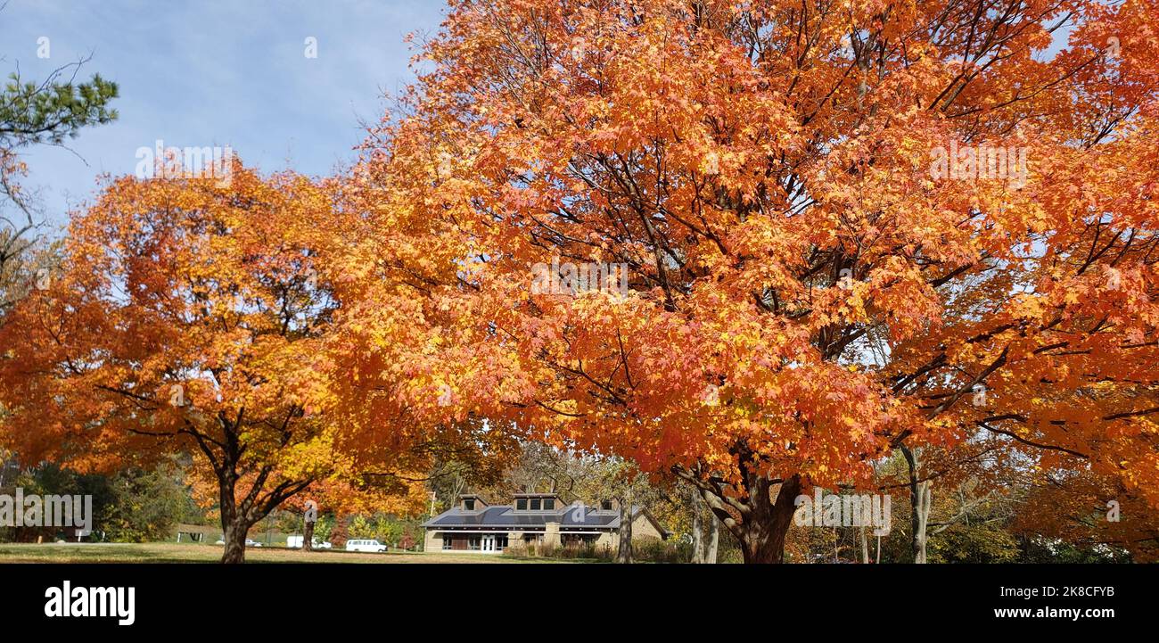 Duranceau Park in Fall, Columbus, Ohio Stock Photo - Alamy
