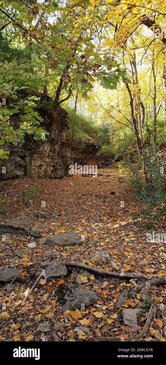 Indian Village Canyon in Fall, Columbus, Ohio Stock Photo - Alamy