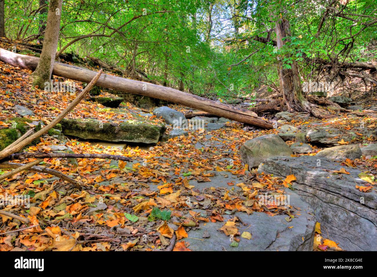 Indian Village Canyon in Fall, Columbus, Ohio Stock Photo - Alamy