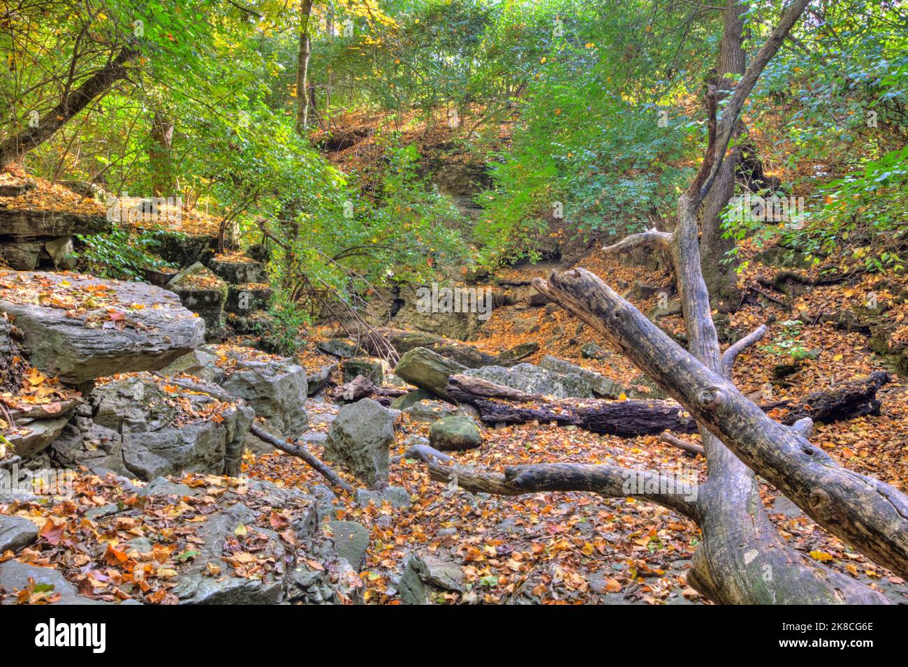 Indian Village Canyon in Fall, Columbus, Ohio Stock Photo - Alamy