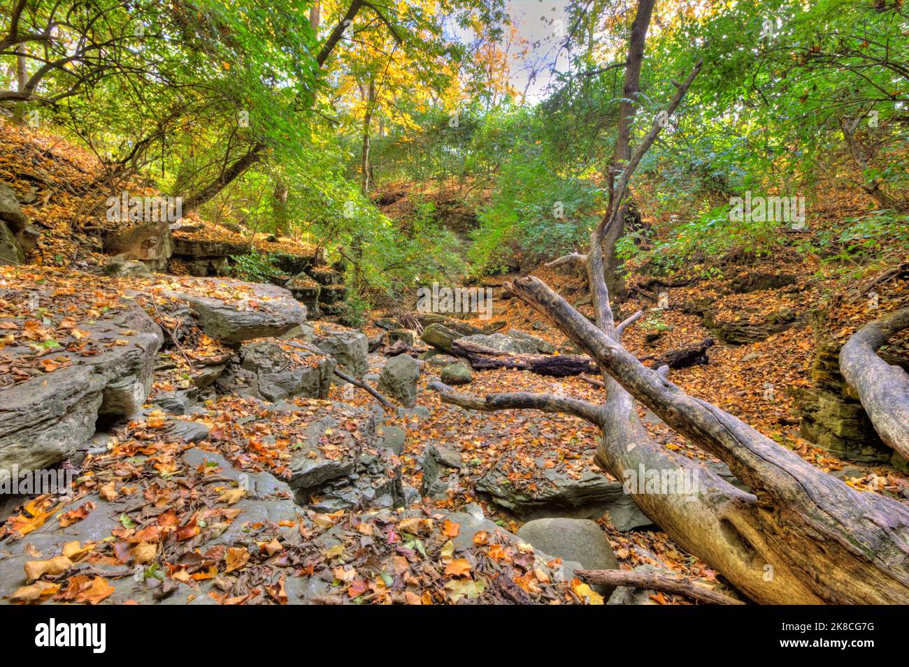 Indian Village Canyon in Fall, Columbus, Ohio Stock Photo - Alamy