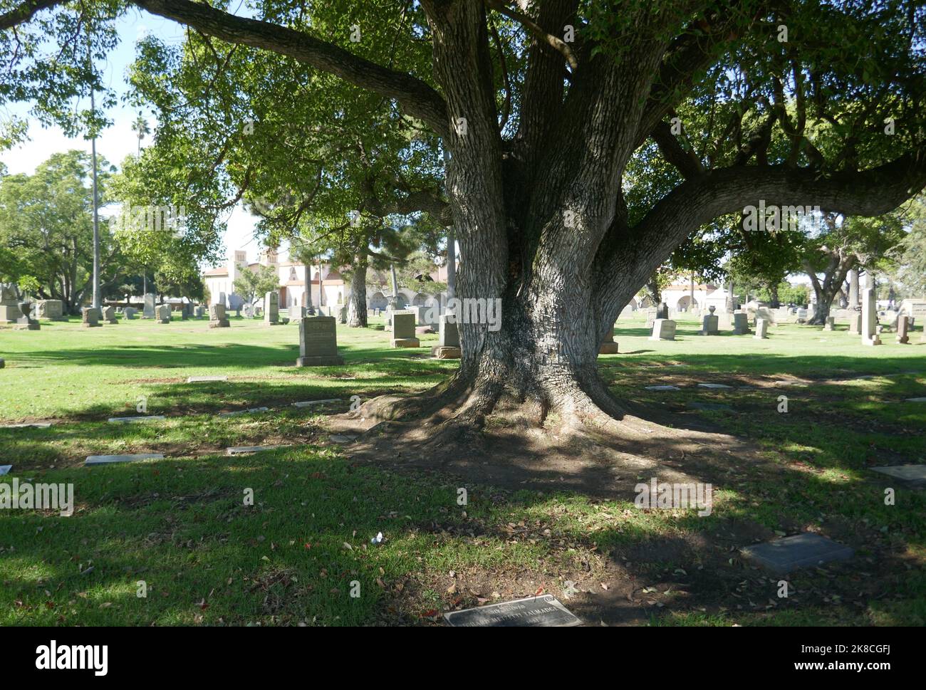 Inglewood, California, USA 19th October 2022 Inglewood Park Cemetery on ...