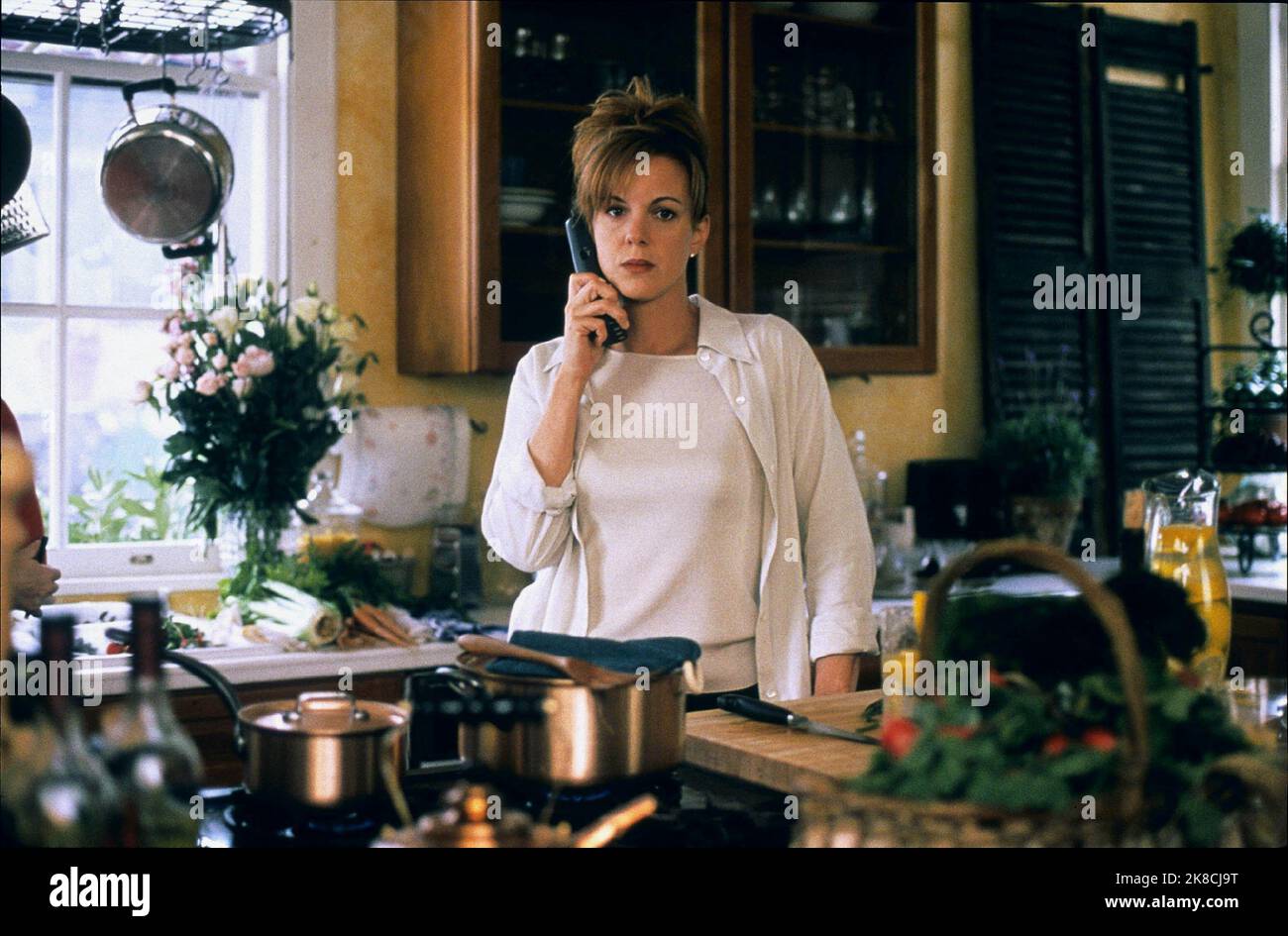 Elizabeth Perkins Film: 28 Days (2000) Characters: Lily Cummings ...