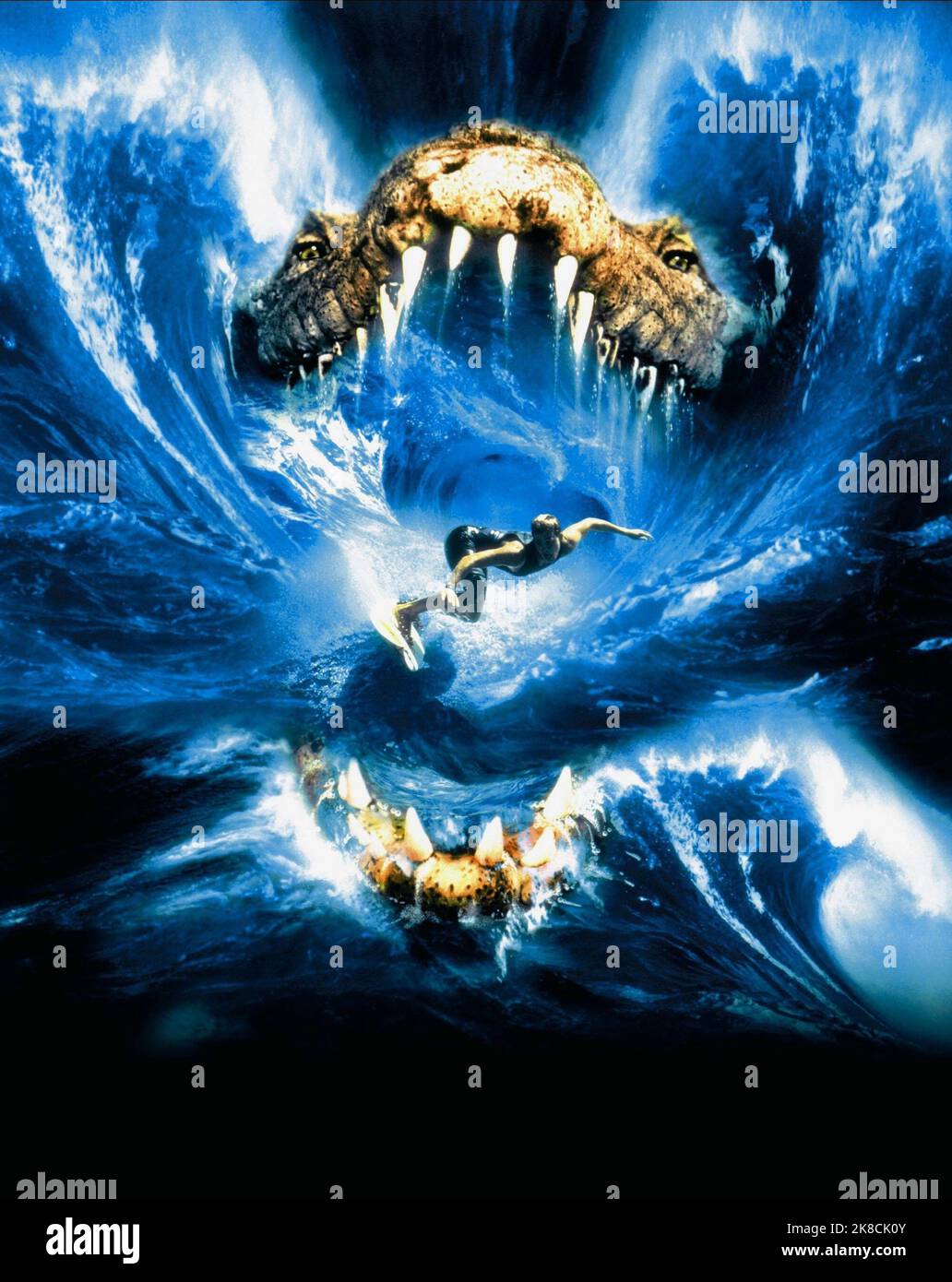 Crocodile & Surfer Artwork Film: Blood Surf (2000) 04 December 2000 ...
