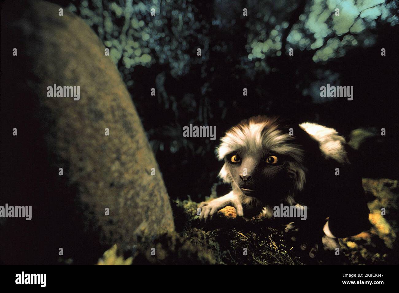 Pilo Film: Dinosaur (2000) Director: Eric Leighton 13 May 2000 ...