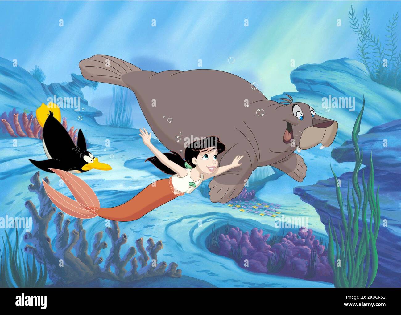 Walrus pictures hi-res stock photography and images - Alamy