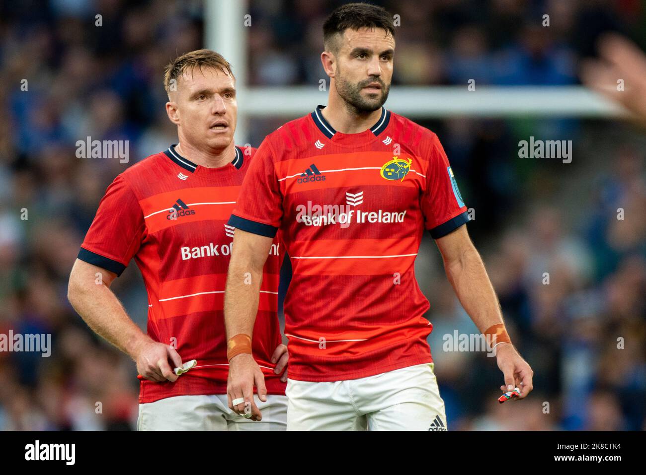 Conor scannell 2022 hi-res stock photography and images - Alamy