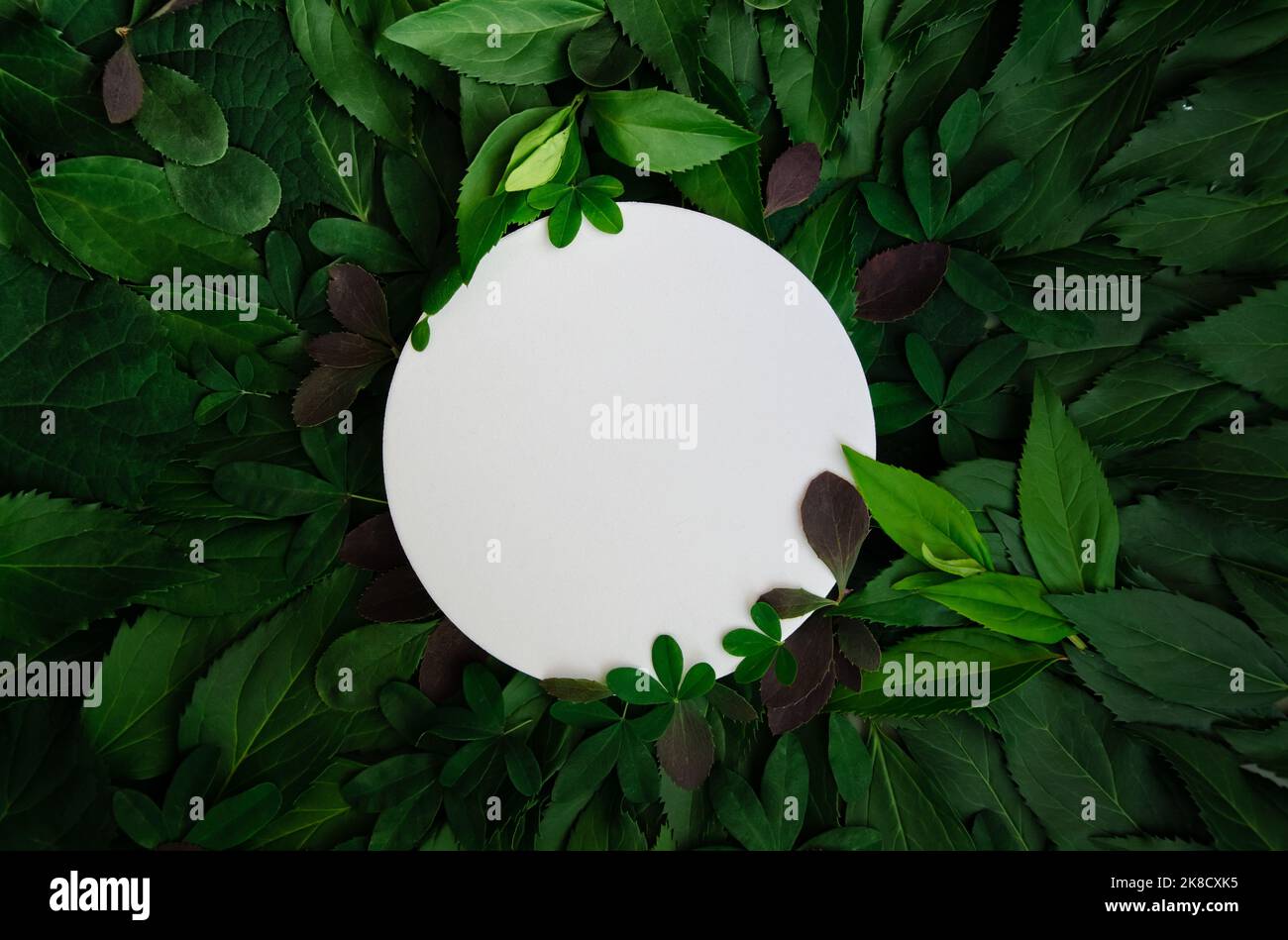 White round template podium mockup for natural organic cosmetic product ...