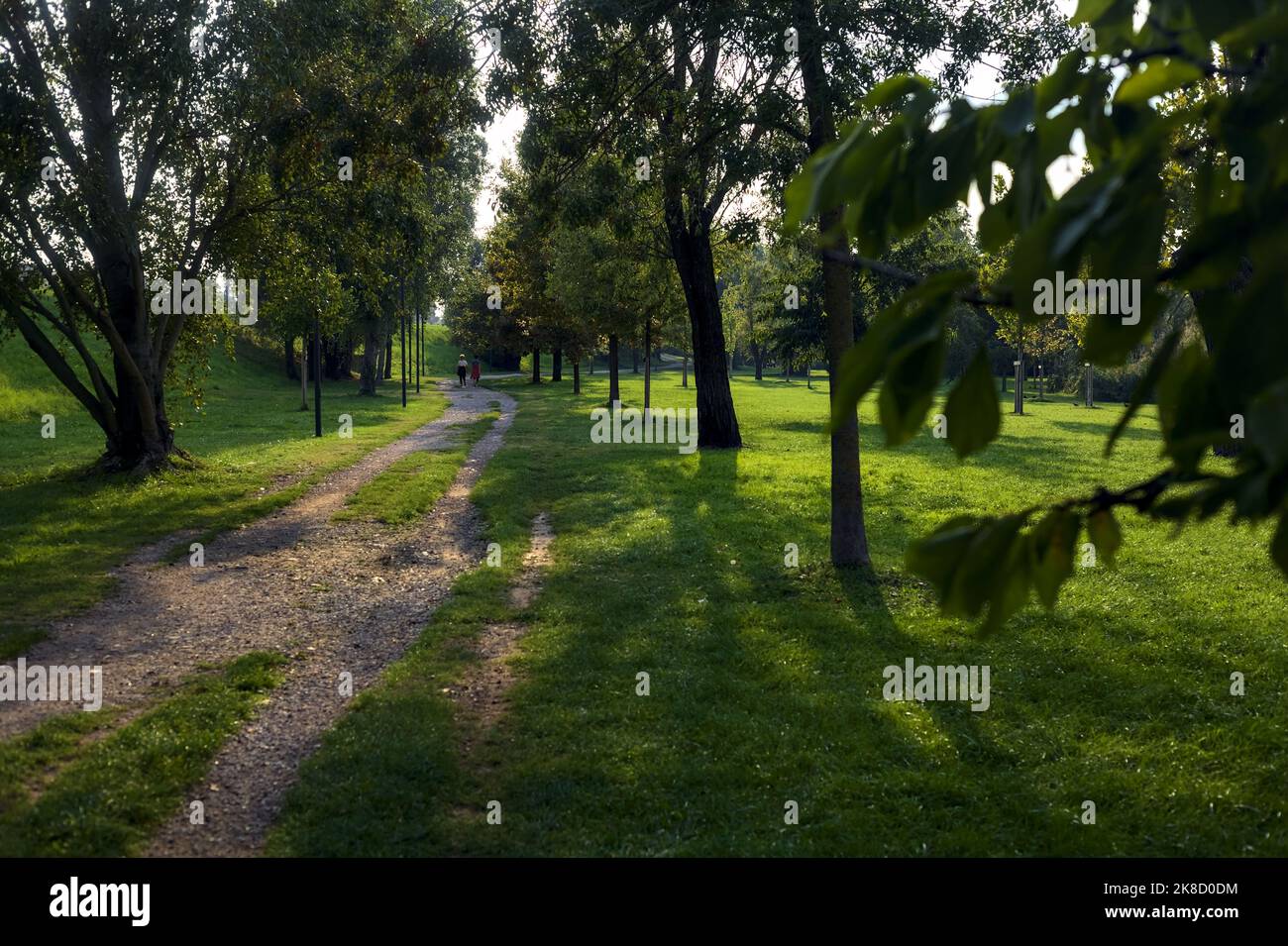 Dirt path among trees in a park at sunset Stock Photo - Alamy