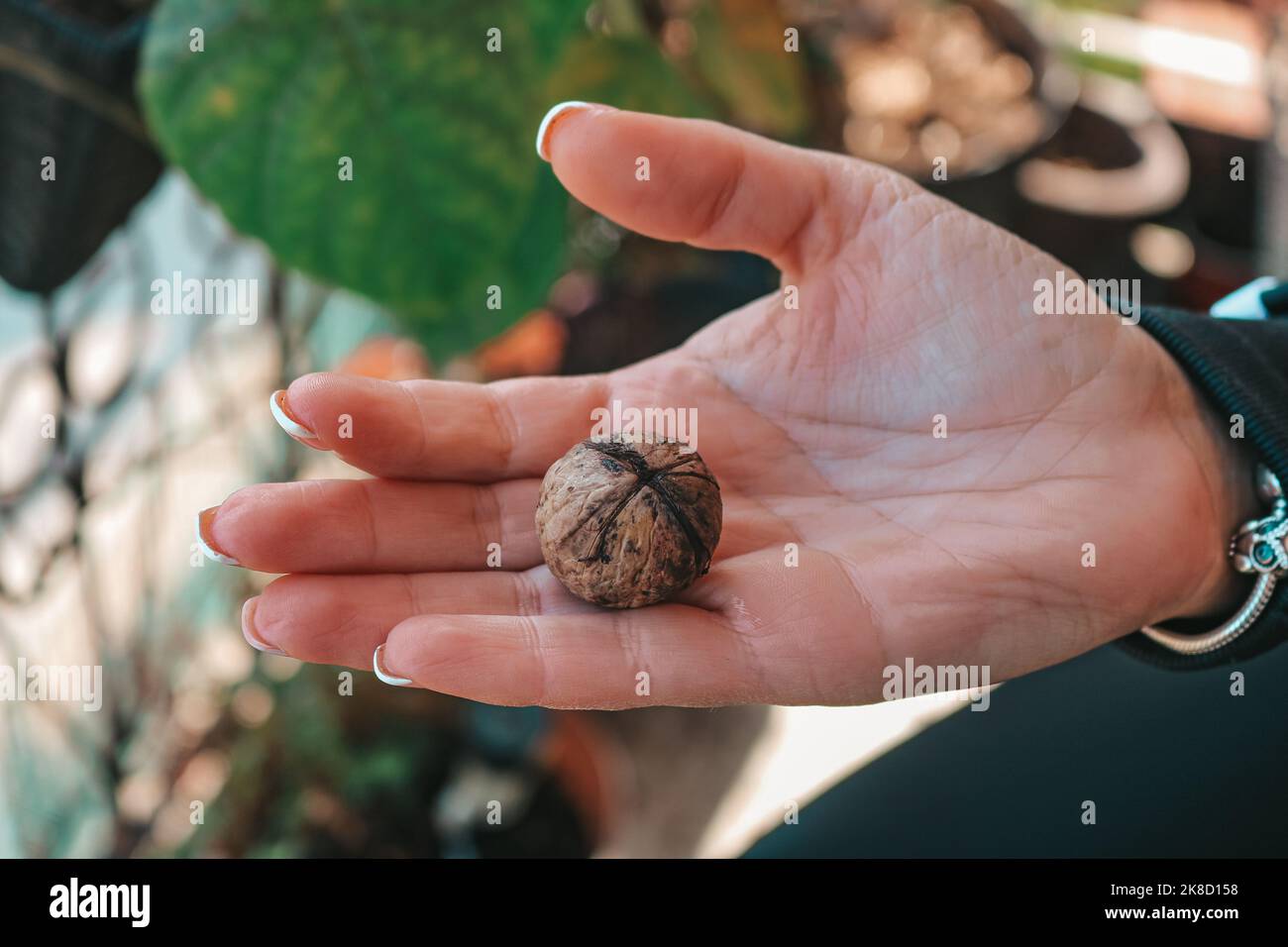 Female nuts hi-res stock photography and images - Alamy