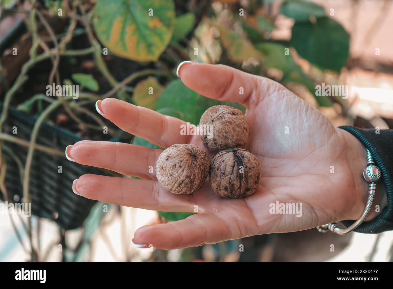 Female nuts hi-res stock photography and images - Alamy