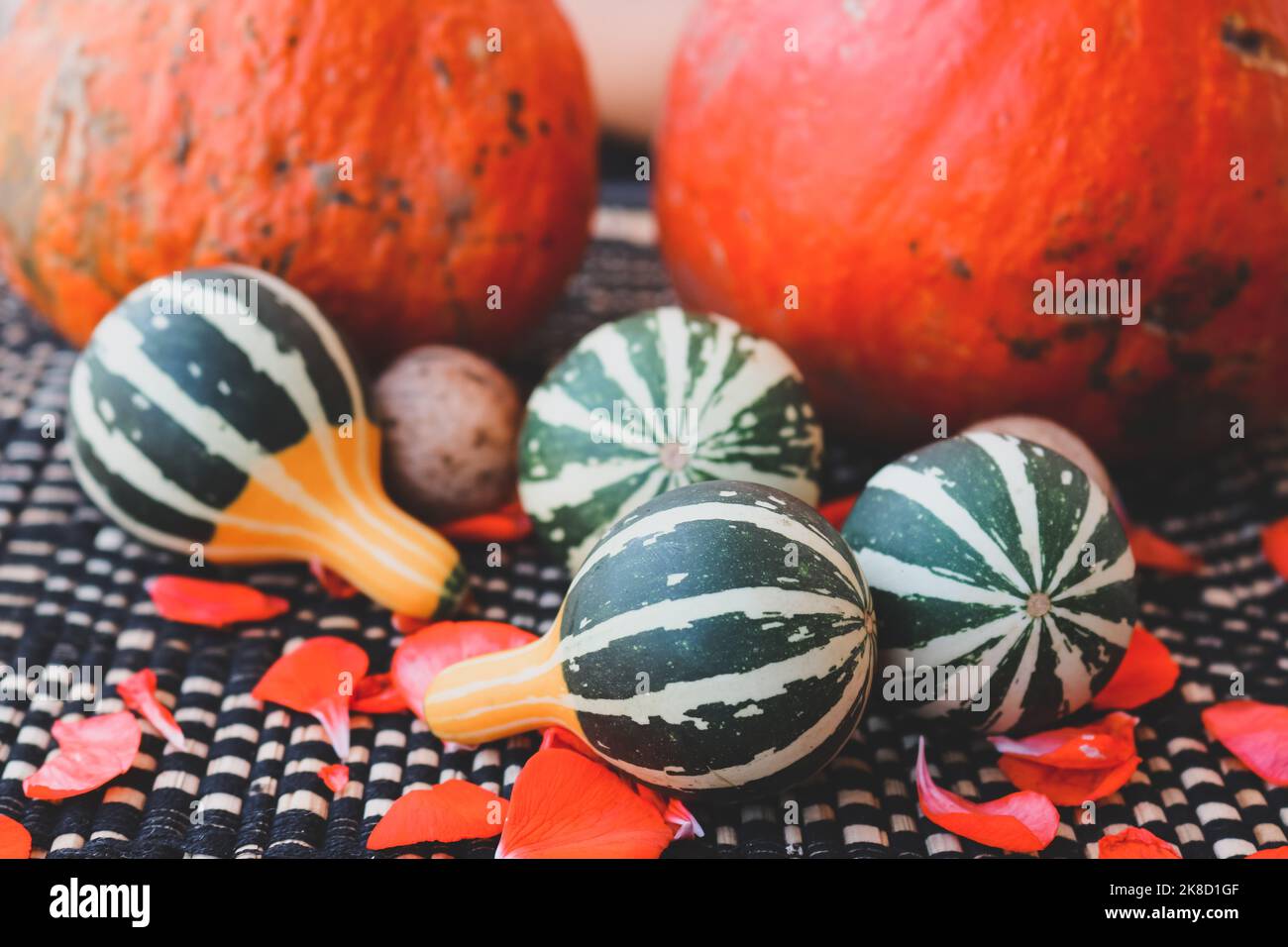Colorful pumkin hi-res stock photography and images - Alamy