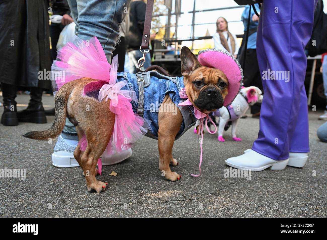 People show off their pets during the Tompkins Square Park Halloween ...