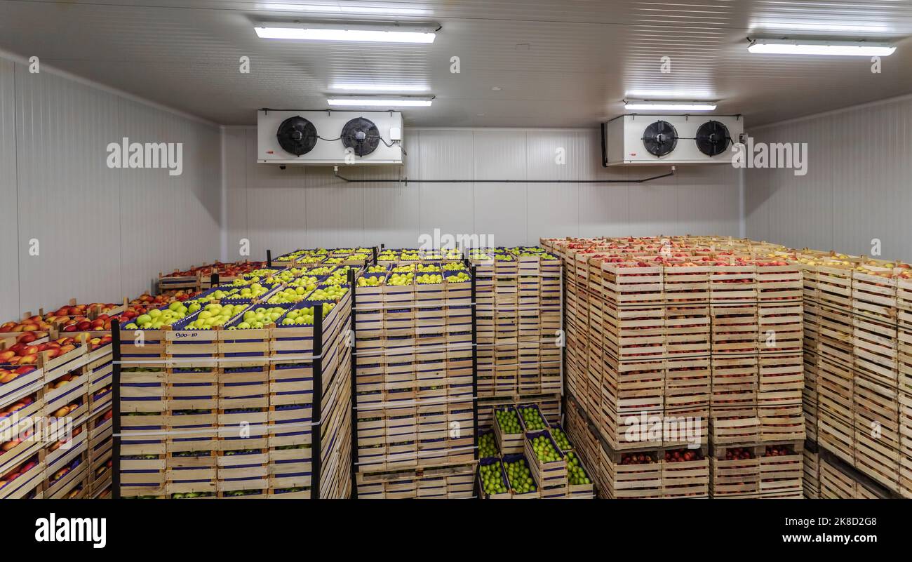 Fruits in crates ready for shipping. Cold storage interior Stock Photo ...