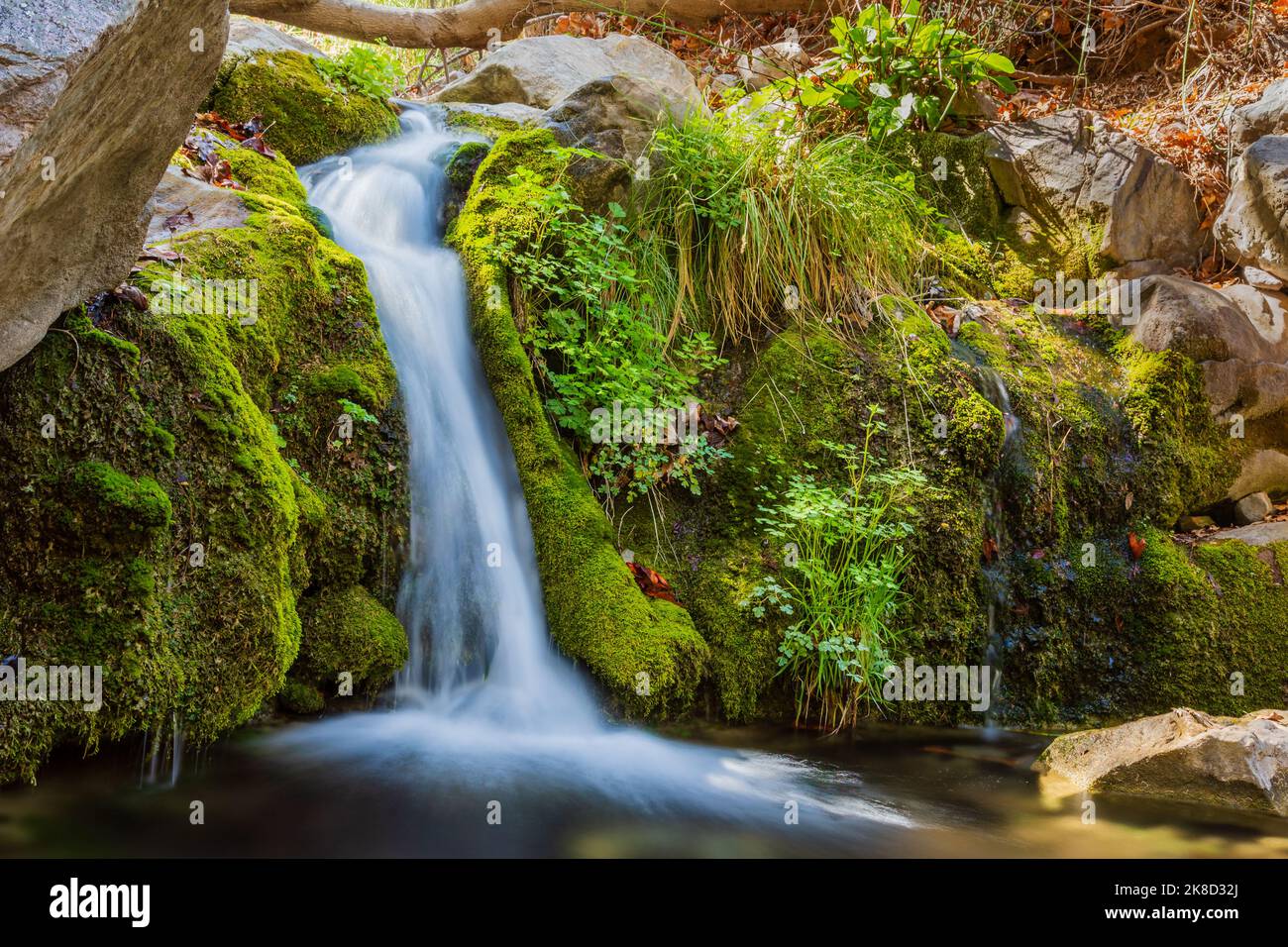 A rare waterfall oasis in the Huachuca mountains near Sierra Vista in ...