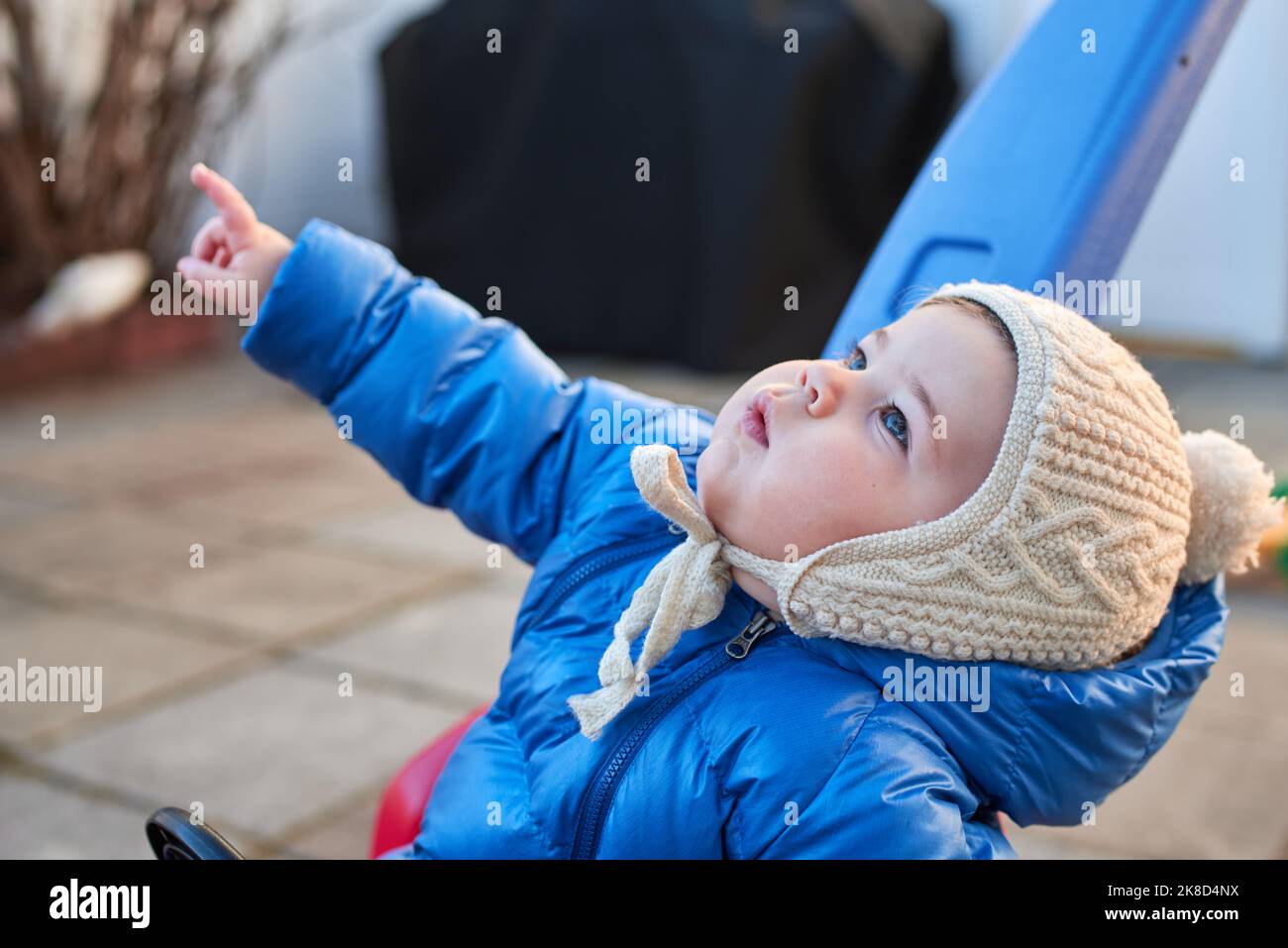 cute toddler is riding his toy scooter and push car in the back yard ...