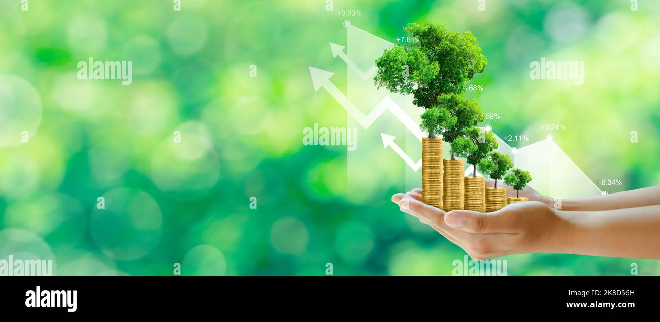 Businessman hand holding step of coins stacks with tree growing on top ...