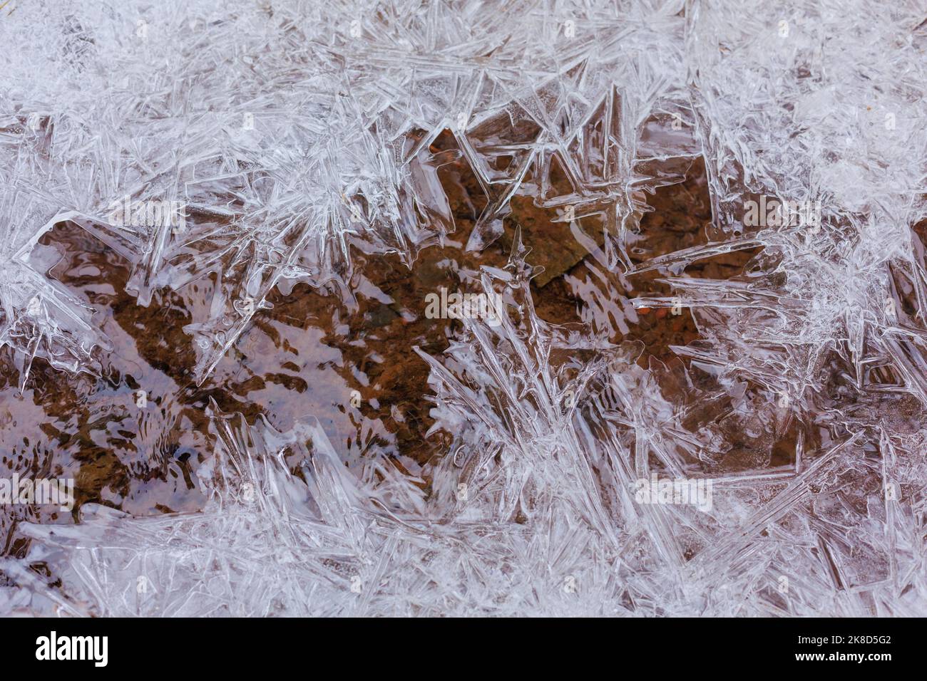 An intricate pattern of ice formed along this creek in the White ...