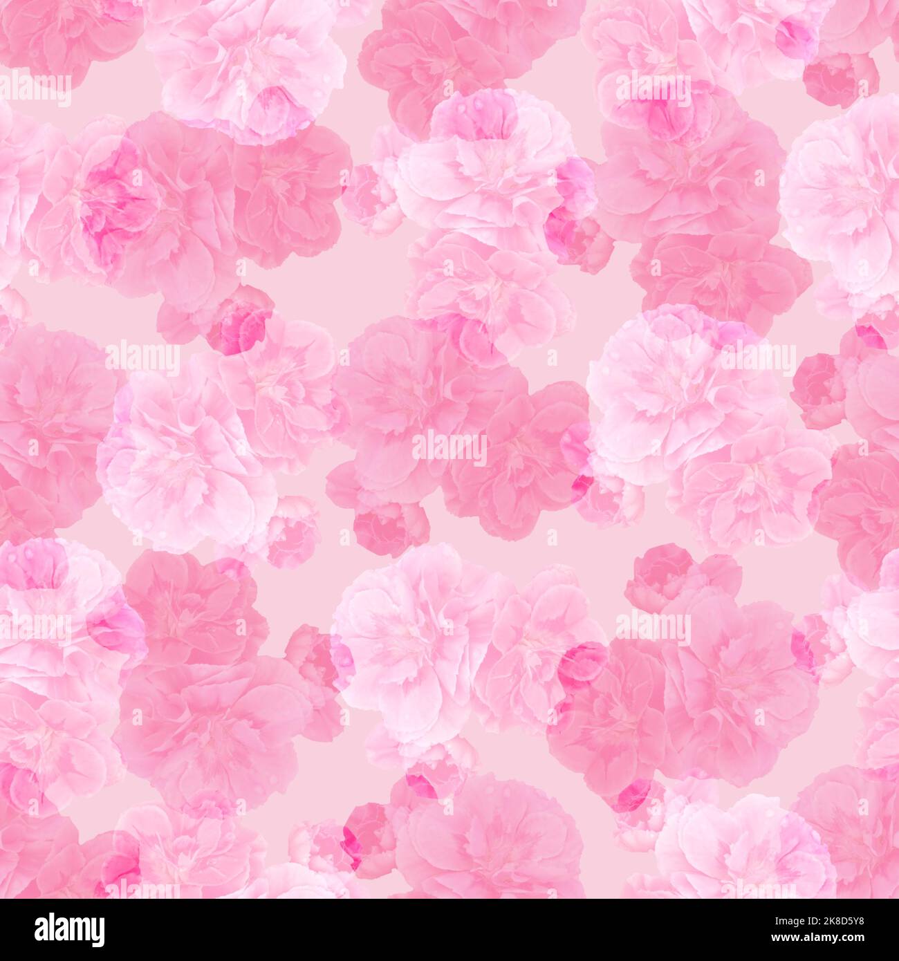 Seamless carnation flower photograph collage repeat. Feminine pretty ...