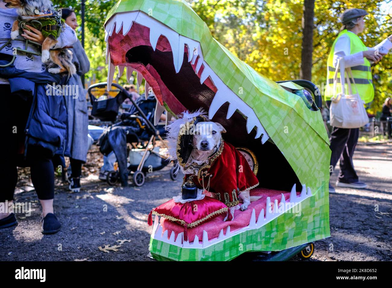 New York, New York, USA. 22nd Oct, 2022. People and dogs participate in ...