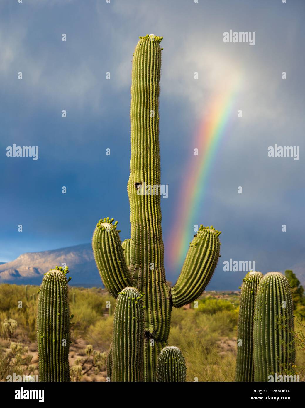 An unusual Spring storm brings the symbolism of the rainbow to the arid ...
