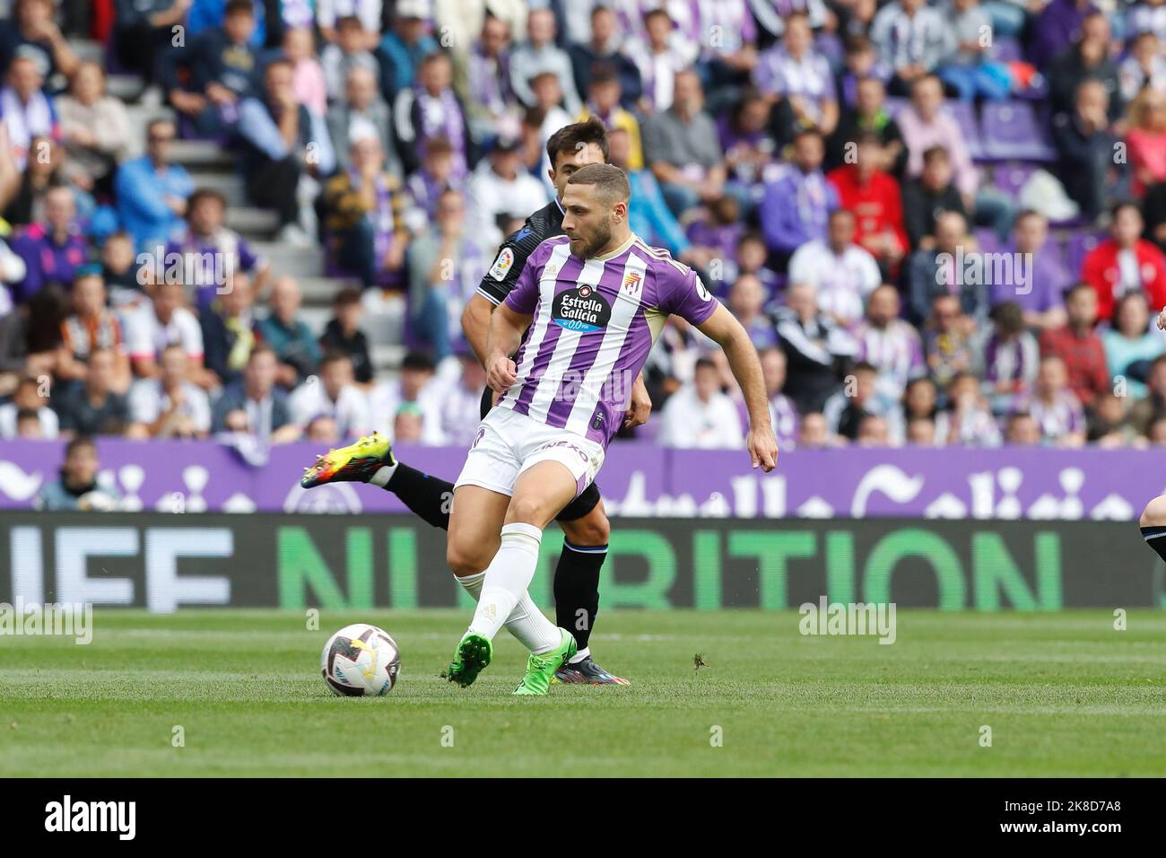 Shon weissman 2022 hi-res stock photography and images - Alamy