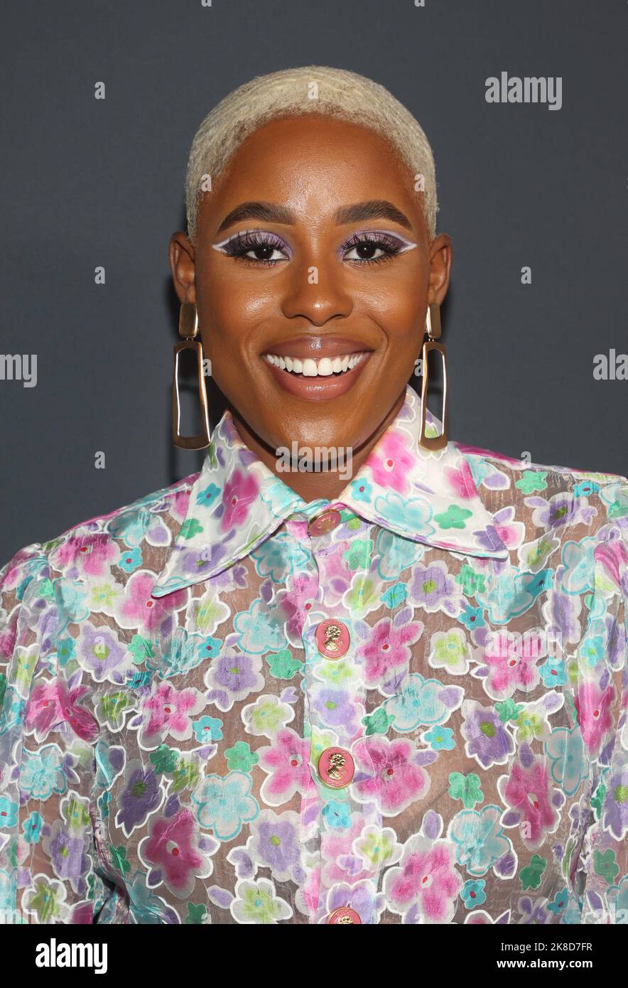 Lod Angeles, Ca. 22nd Oct, 2022. Jerrie Johnson at the 2022 Outfest ...