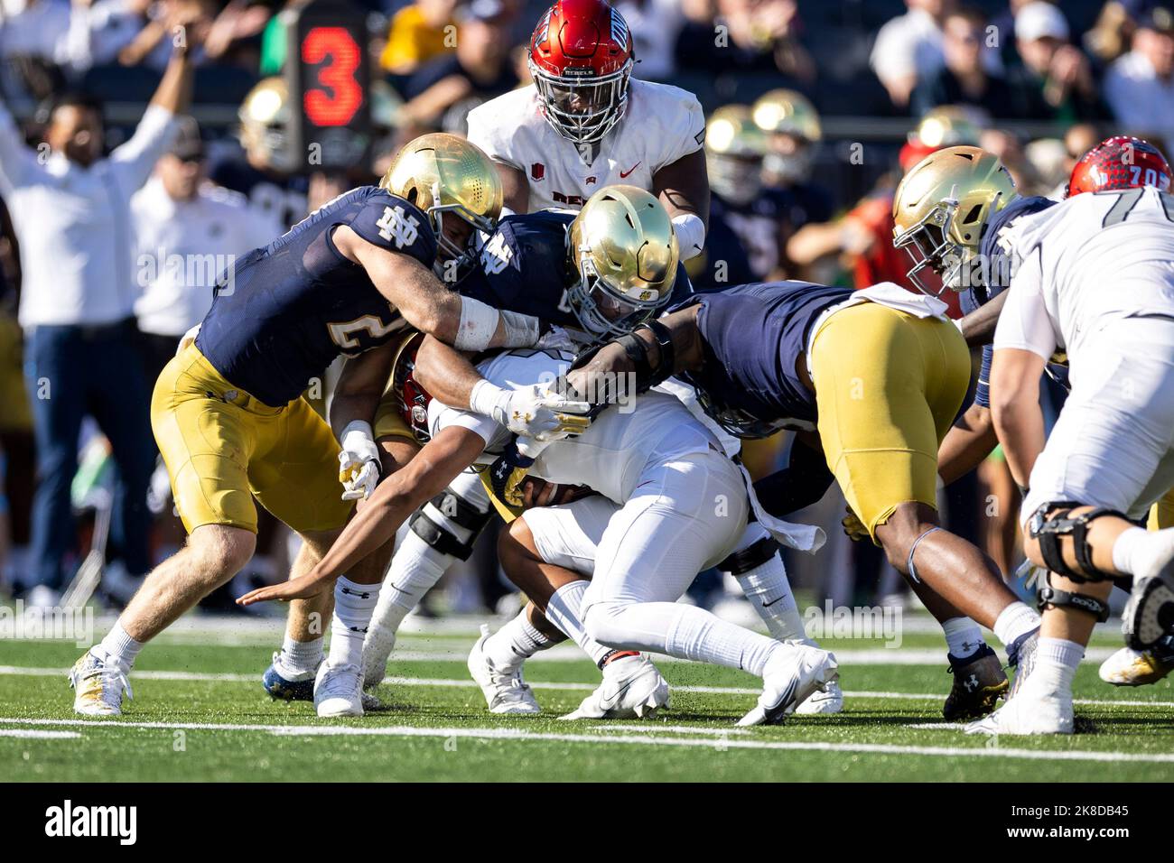 South Bend, Indiana, USA. 22nd Oct, 2022. A host of Notre Dame ...