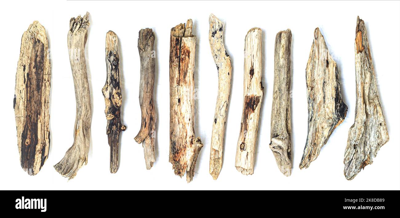 driftwood dry dead tree wood set, for art objects and decor Stock Photo ...