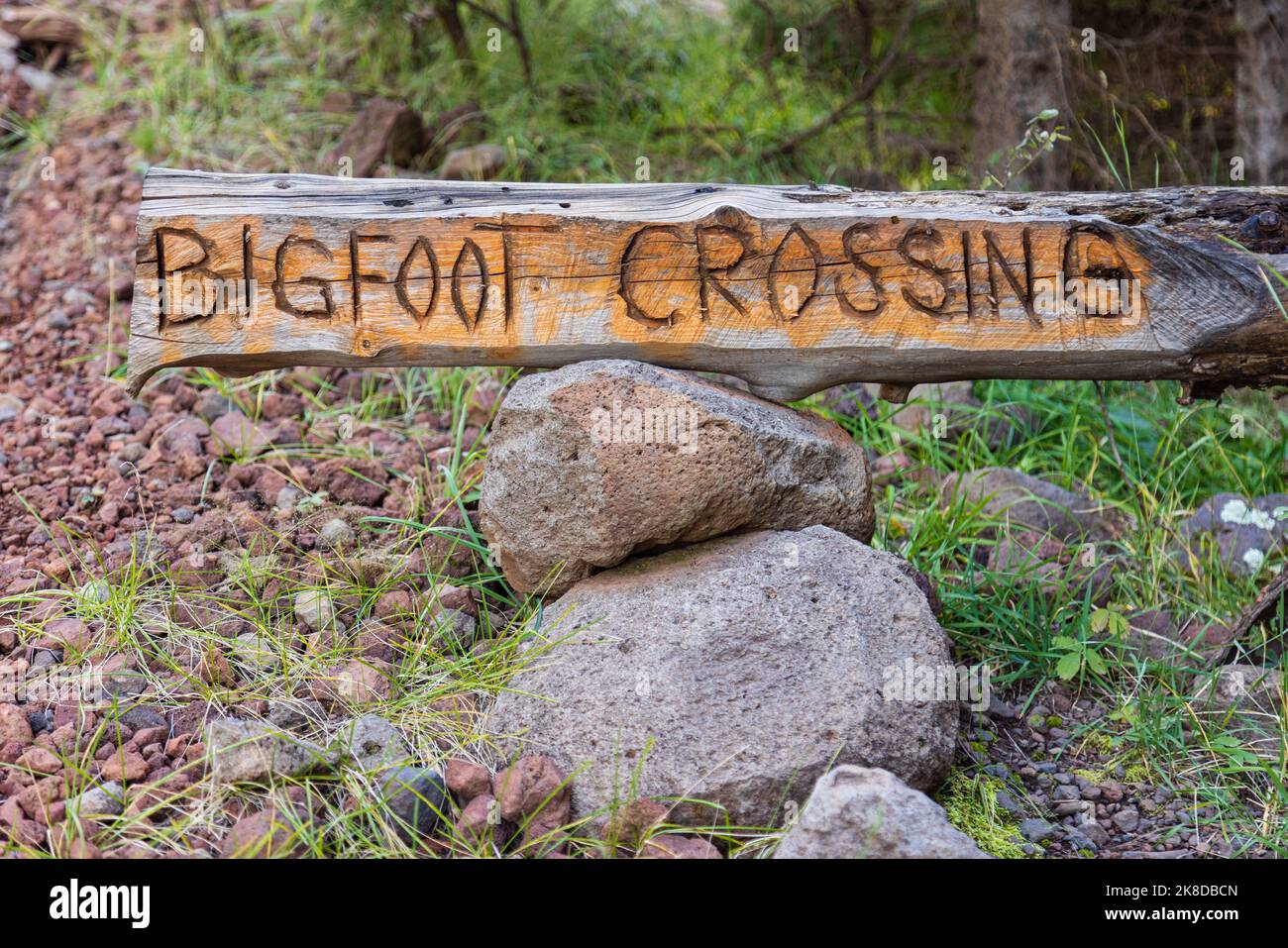 Bigfoot Crossing sign along a remote road in the White Mountains of ...