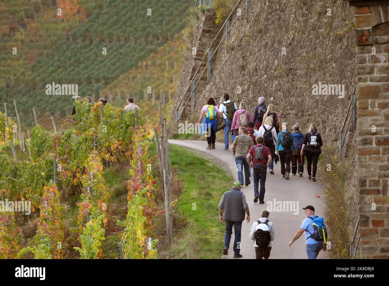 Ahr flood vineyards 2021 hi-res stock photography and images - Alamy