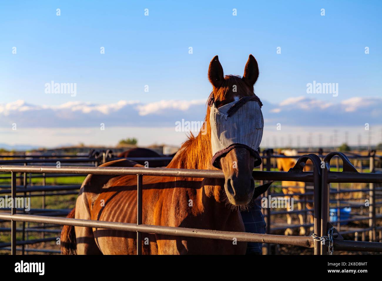 Farm split rail fence hi-res stock photography and images - Alamy