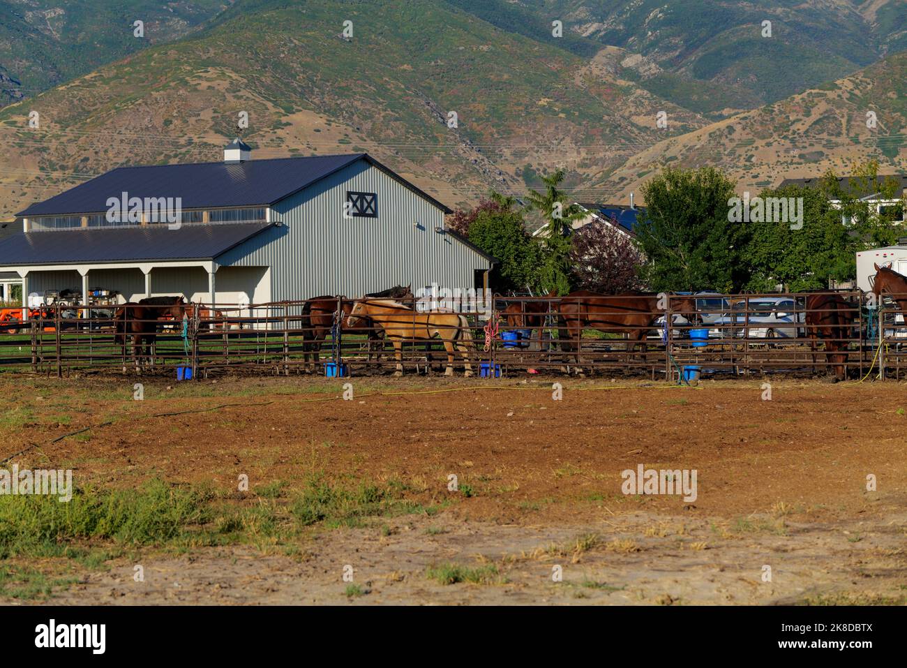 Farm split rail fence hi-res stock photography and images - Alamy