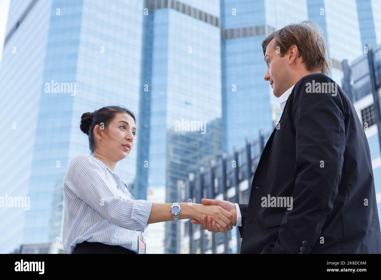 Professional Handshake Woman
