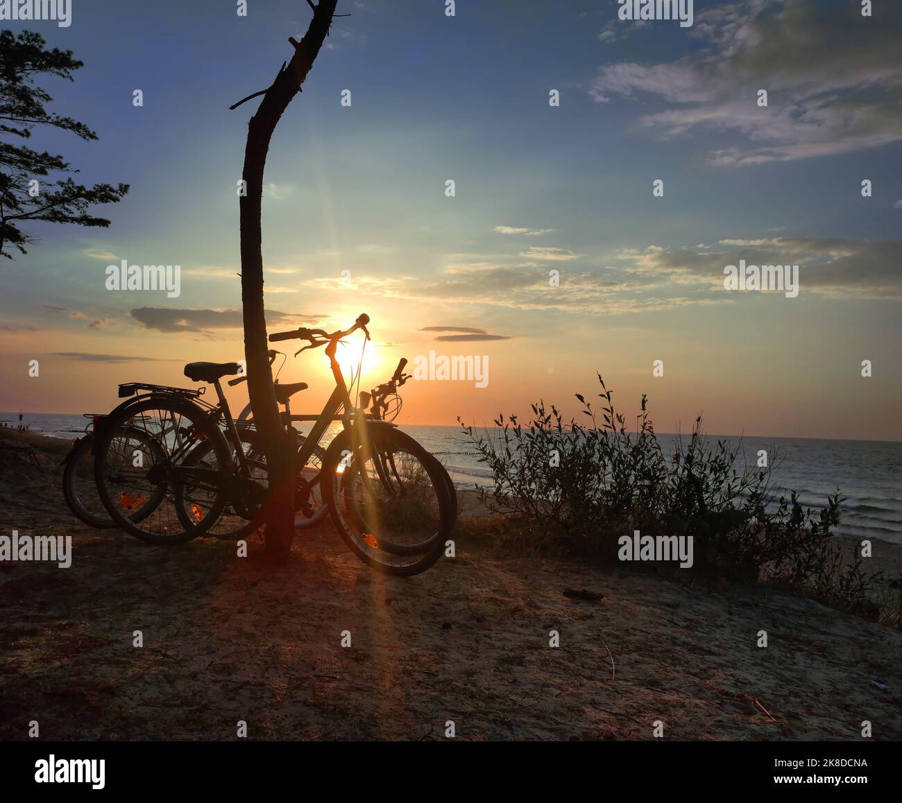 Beach on the Baltic Sea. Evening scenery with a sandy beach, dunes ...