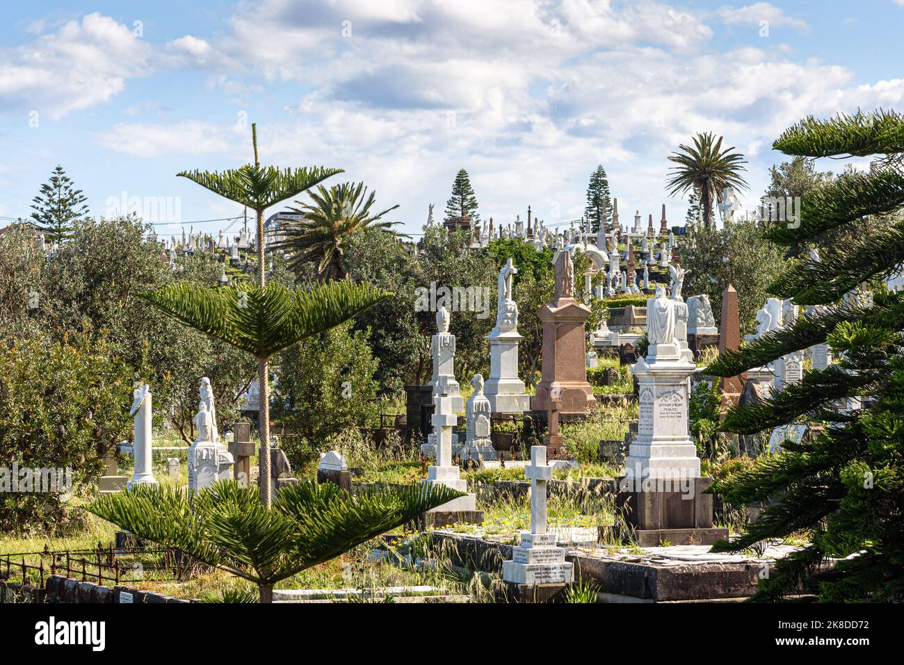 Tombstones at Waverley Cemetery overlooking the Pacific Ocean in Bronte ...