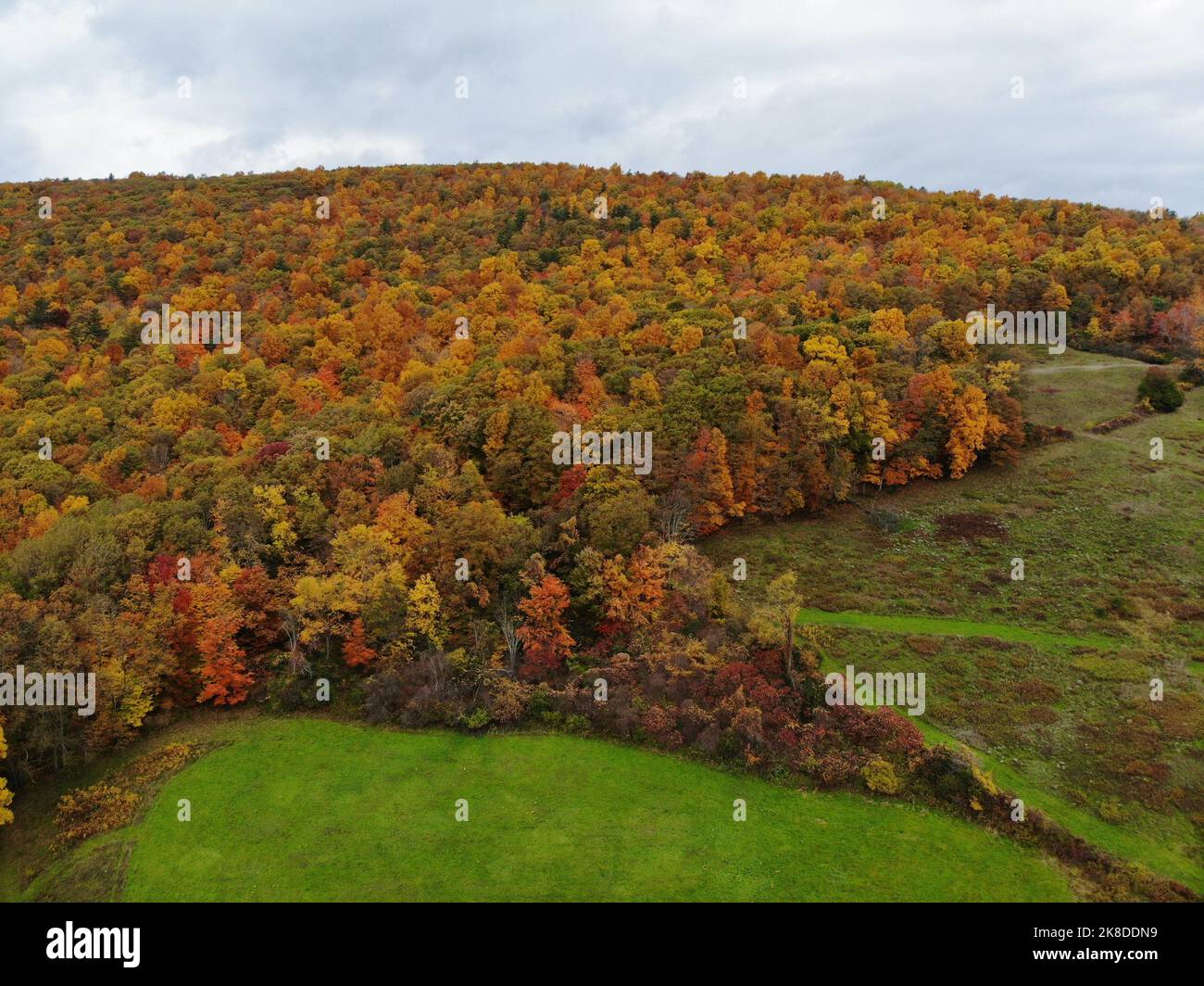 The aerial view of the stunning fall foliage near Upstate New York, U.S ...