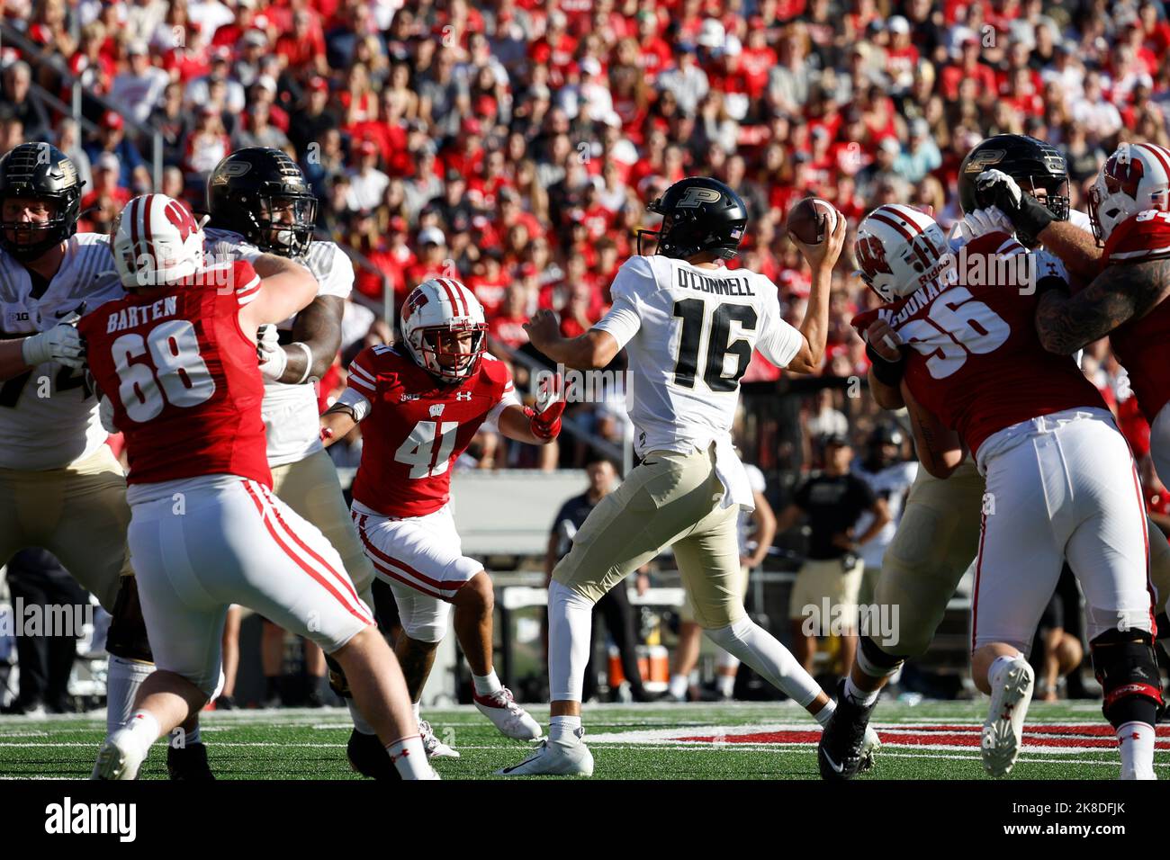 Aidan oconnell hi-res stock photography and images - Alamy